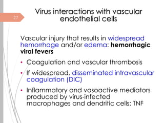 3. Pathogenesis of Viral Infections and Diseases.pdf
