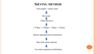 3.-Isolation-of-AM-fungi-by-wet-seiving-and-sucrose-gradient-method.pptx