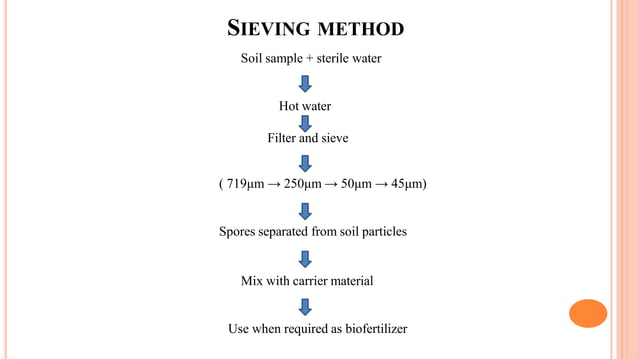 3.-Isolation-of-AM-fungi-by-wet-seiving-and-sucrose-gradient-method.pptx
