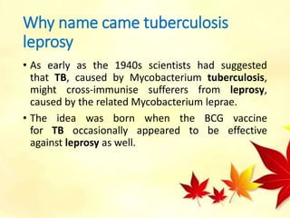 3. Antileprotic drugs.pptx