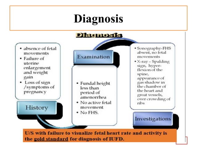 3.Intrauterine Fetal Death (IUFD).pptx | Pregnancy | Reproductive Health