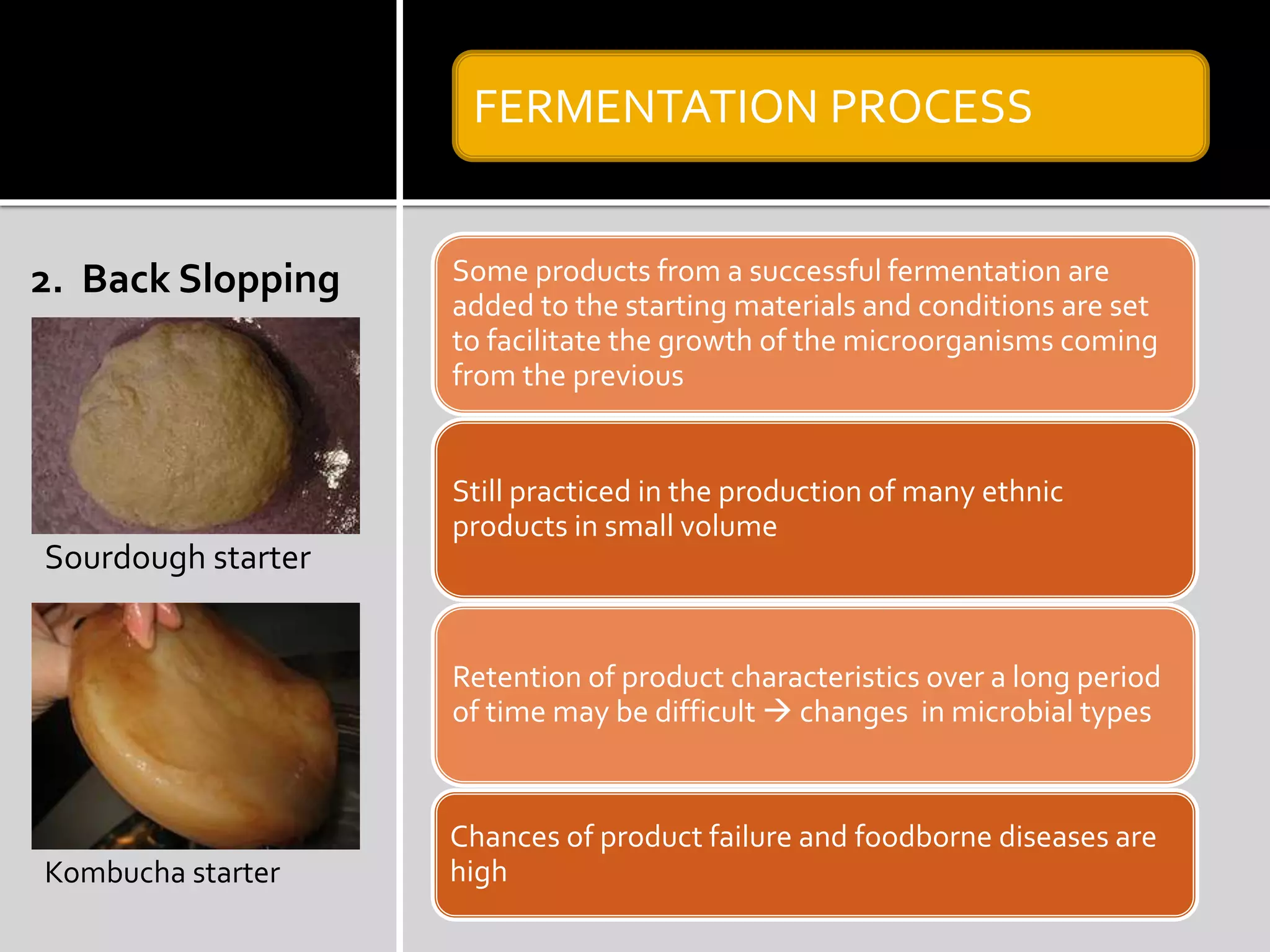 3. Fermented Food Production.pptx
