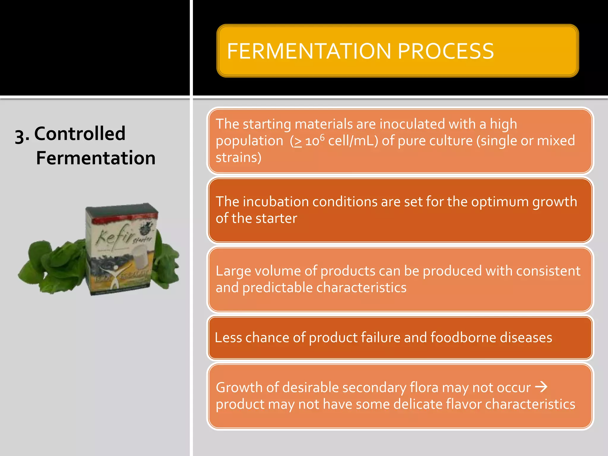 3. Fermented Food Production.pptx