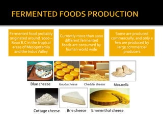 3. Fermented Food Production.pptx