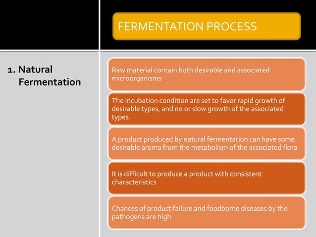 3. Fermented Food Production.pptx