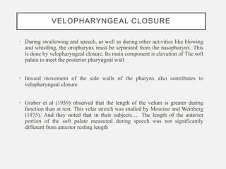 3.NASO-RESPIRATORY OBSTRUCTION.ppt