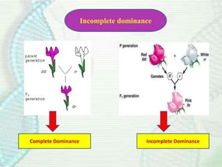 3. Post Mendelian concept.pdf