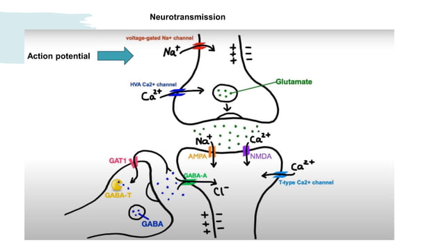 4.Anti Convulsant.pptx