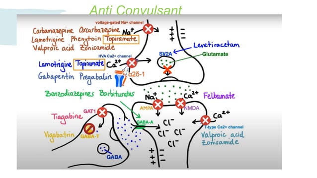 4.Anti Convulsant.pptx
