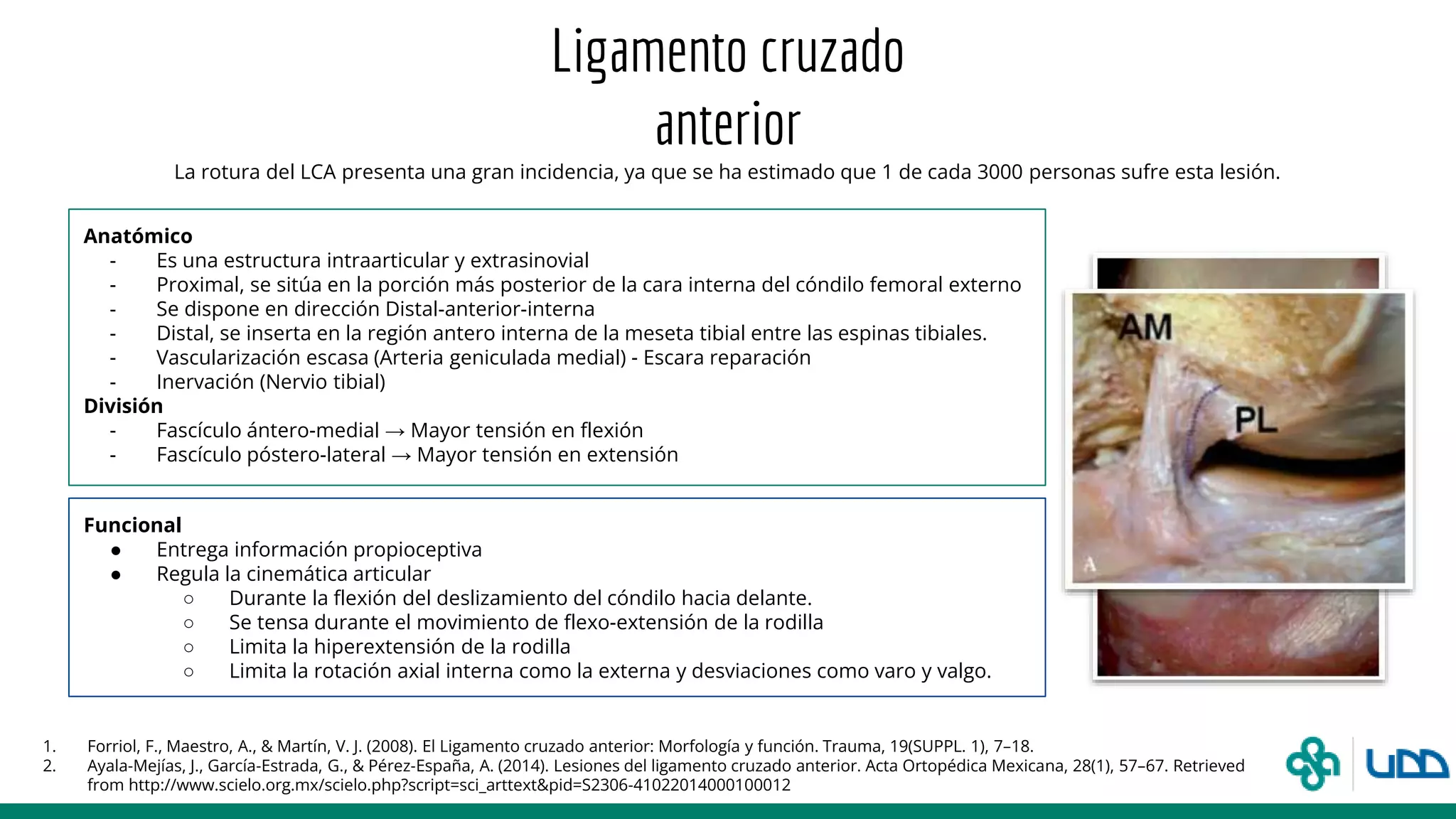 3. Lesion de LCA .pptx