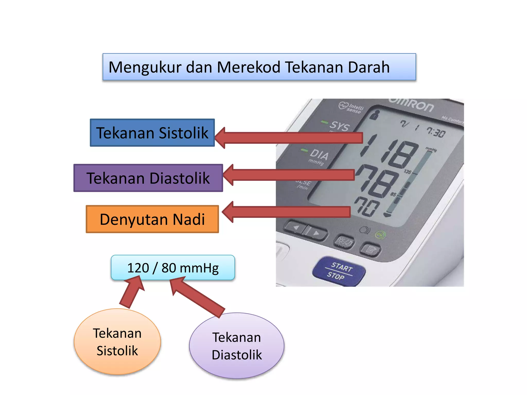3.3 Tekanan Darah.pptx