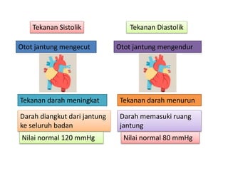 3.3 Tekanan Darah.pptx