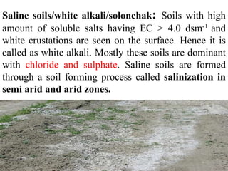 3. salt affcted soil.pptx