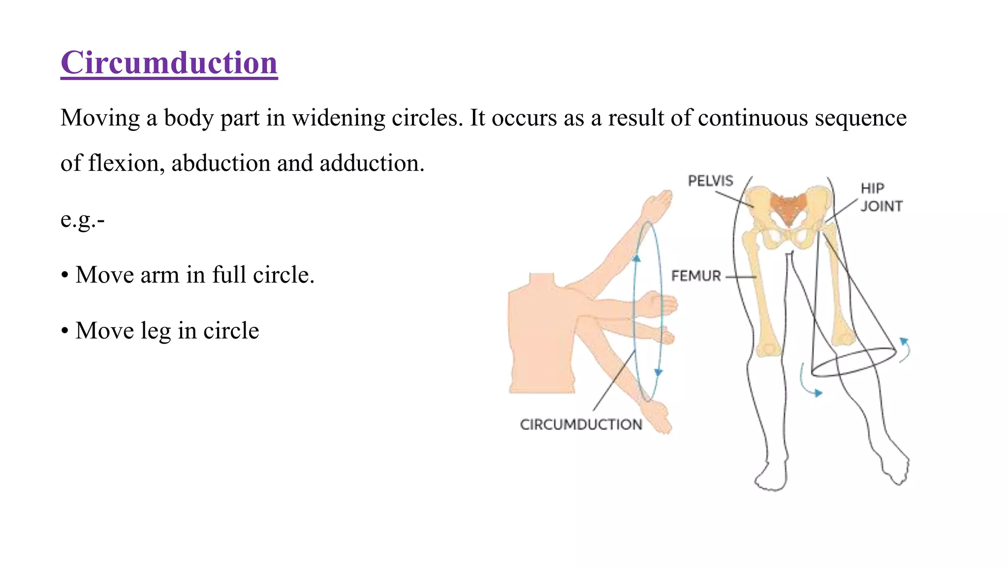 Range of Motions | PPTX