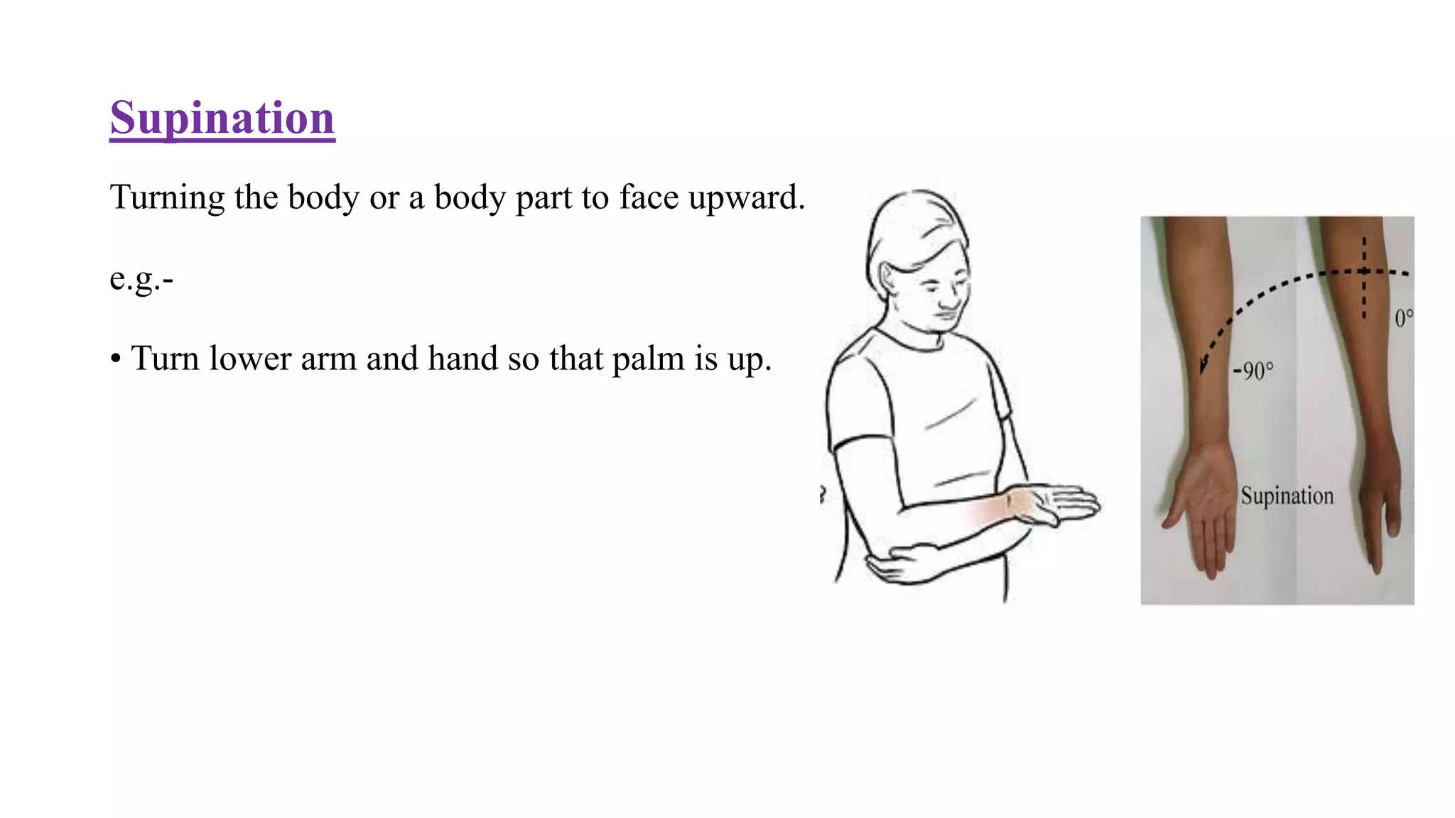 Range of Motions | PPTX