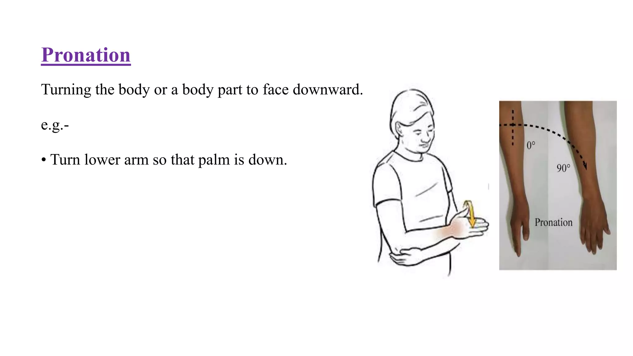 Range of Motions | PPTX