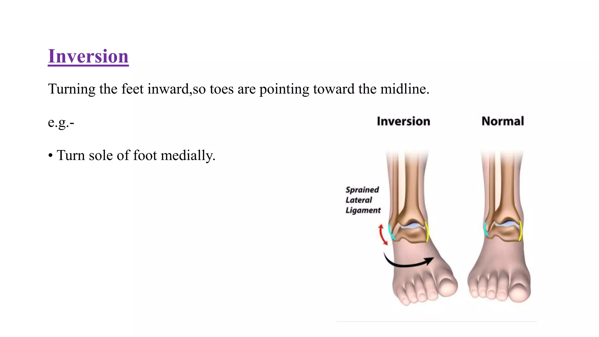 Range of Motions | PPTX