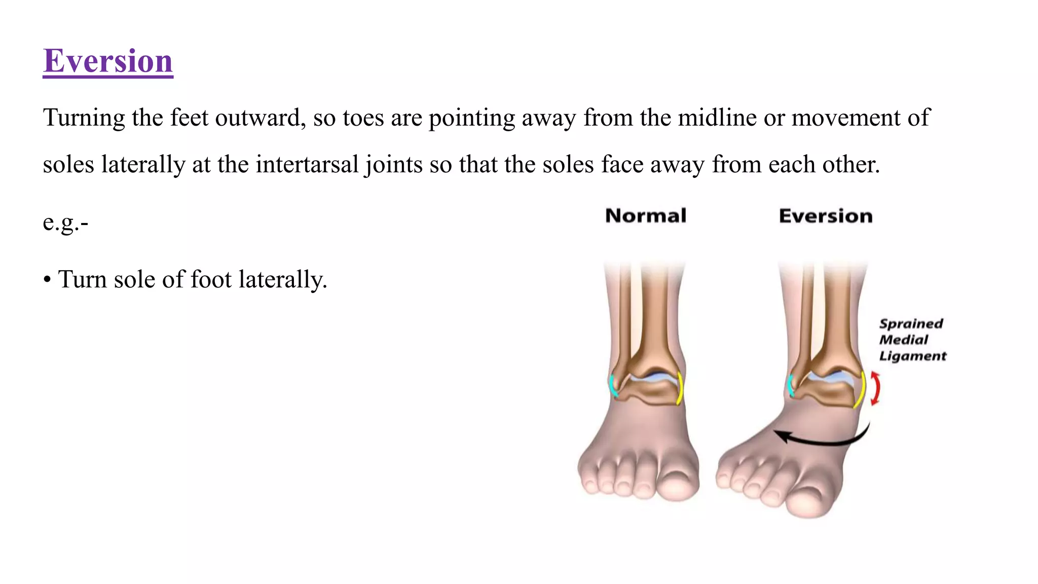 Range of Motions | PPTX
