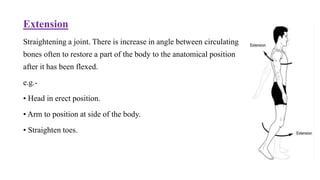 Range of Motions | PPTX