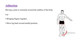 Range of Motions | PPTX