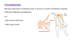 Range of Motions | PPTX