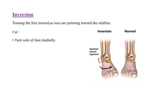 Range of Motions | PPTX