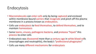 3. Cellular Organelles and Membrane Trafficking.pptx