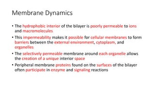 3. Cellular Organelles and Membrane Trafficking.pptx