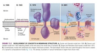 3. Cellular Organelles and Membrane Trafficking.pptx