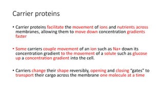 3. Cellular Organelles and Membrane Trafficking.pptx