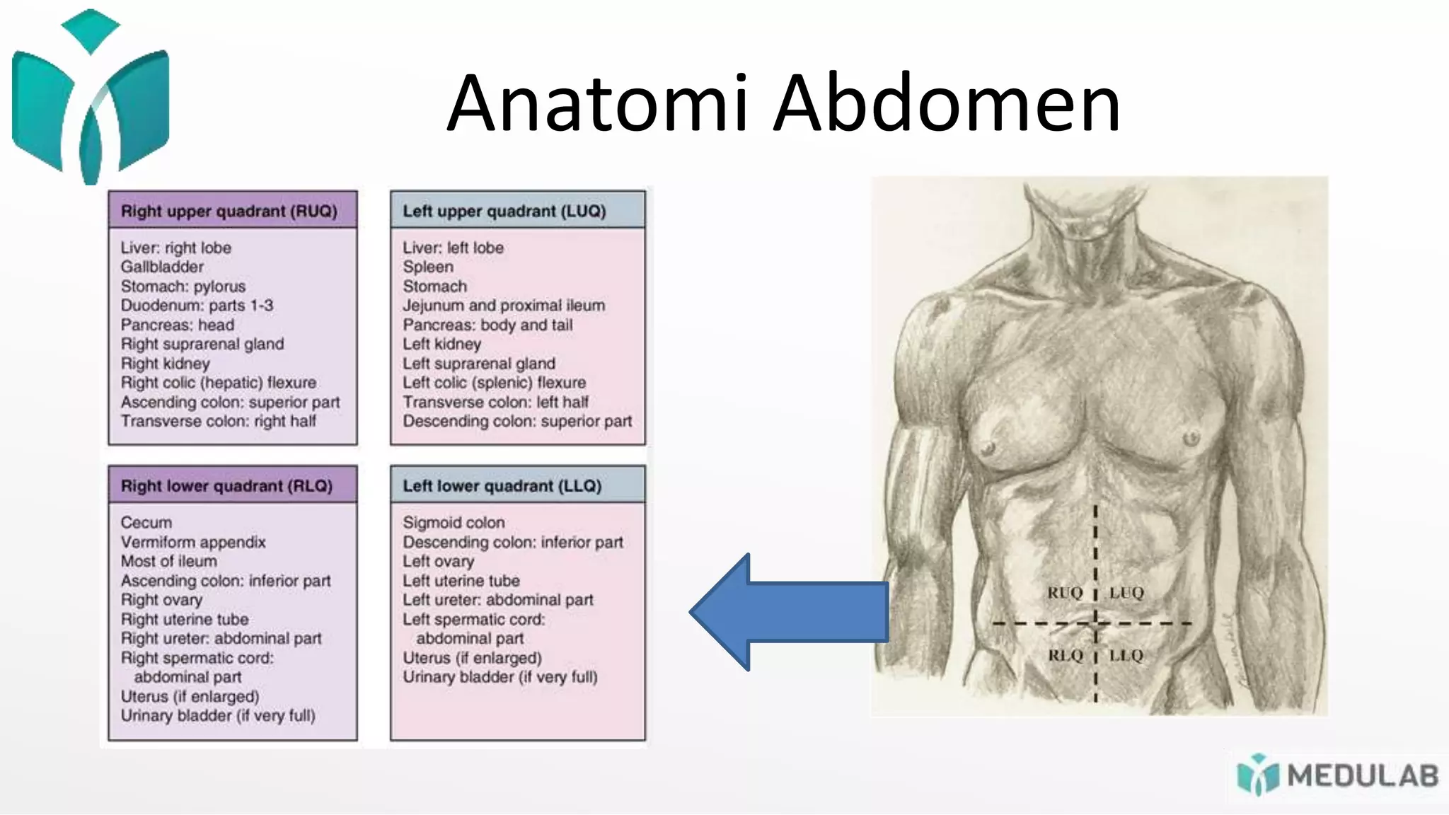 3. AKUT ABDOMEN.pptx