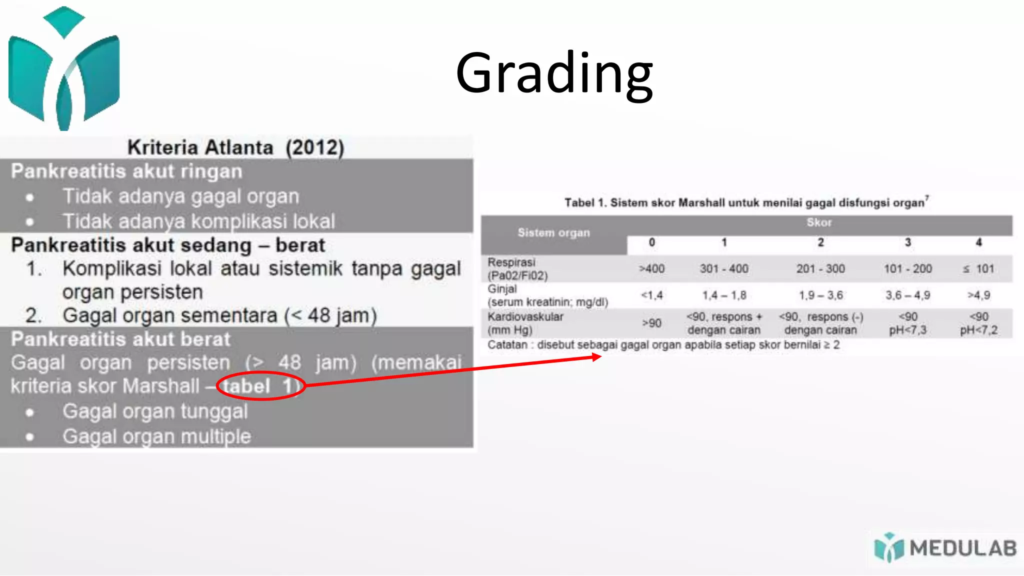 3. AKUT ABDOMEN.pptx