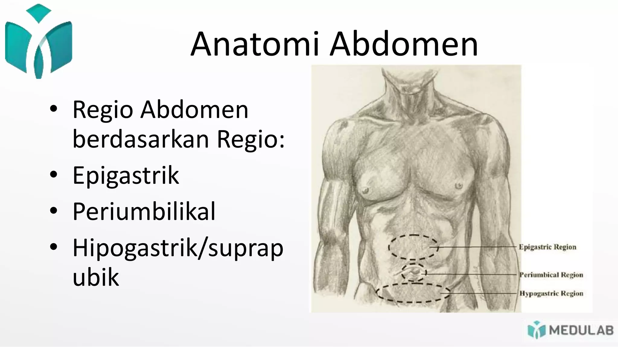 3. AKUT ABDOMEN.pptx