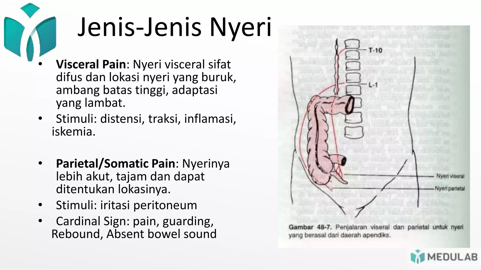 3. AKUT ABDOMEN.pptx