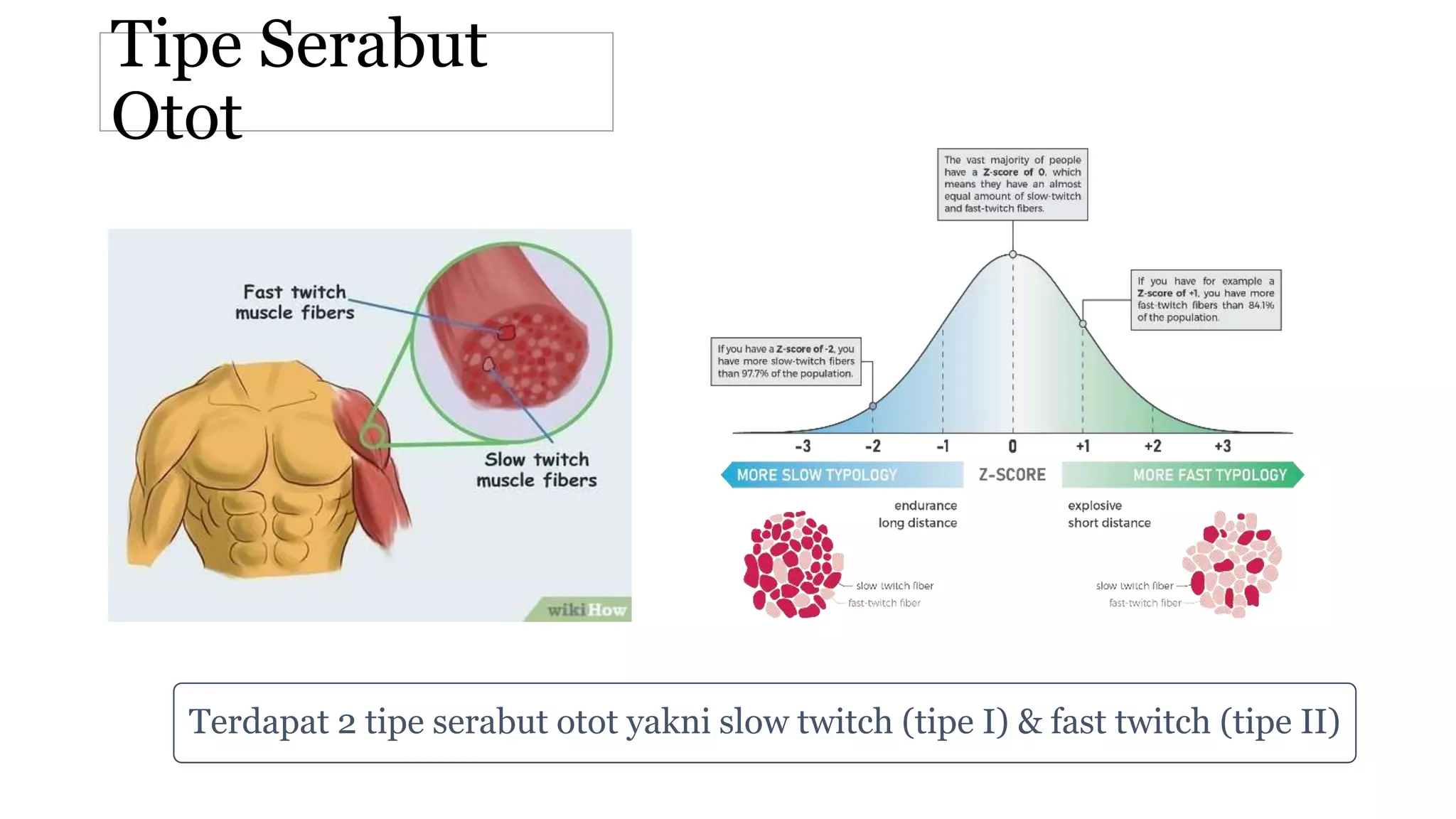 3. Mekanisme Nyeri Otot.pptx
