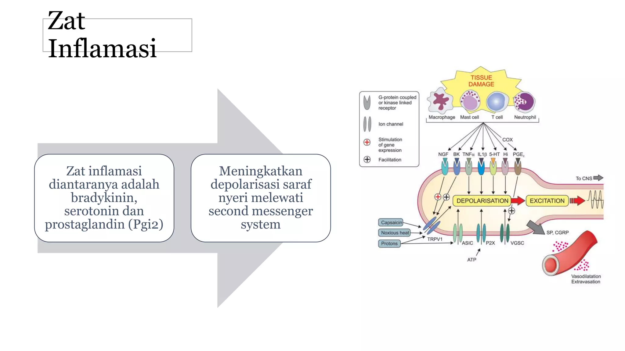 3. Mekanisme Nyeri Otot.pptx