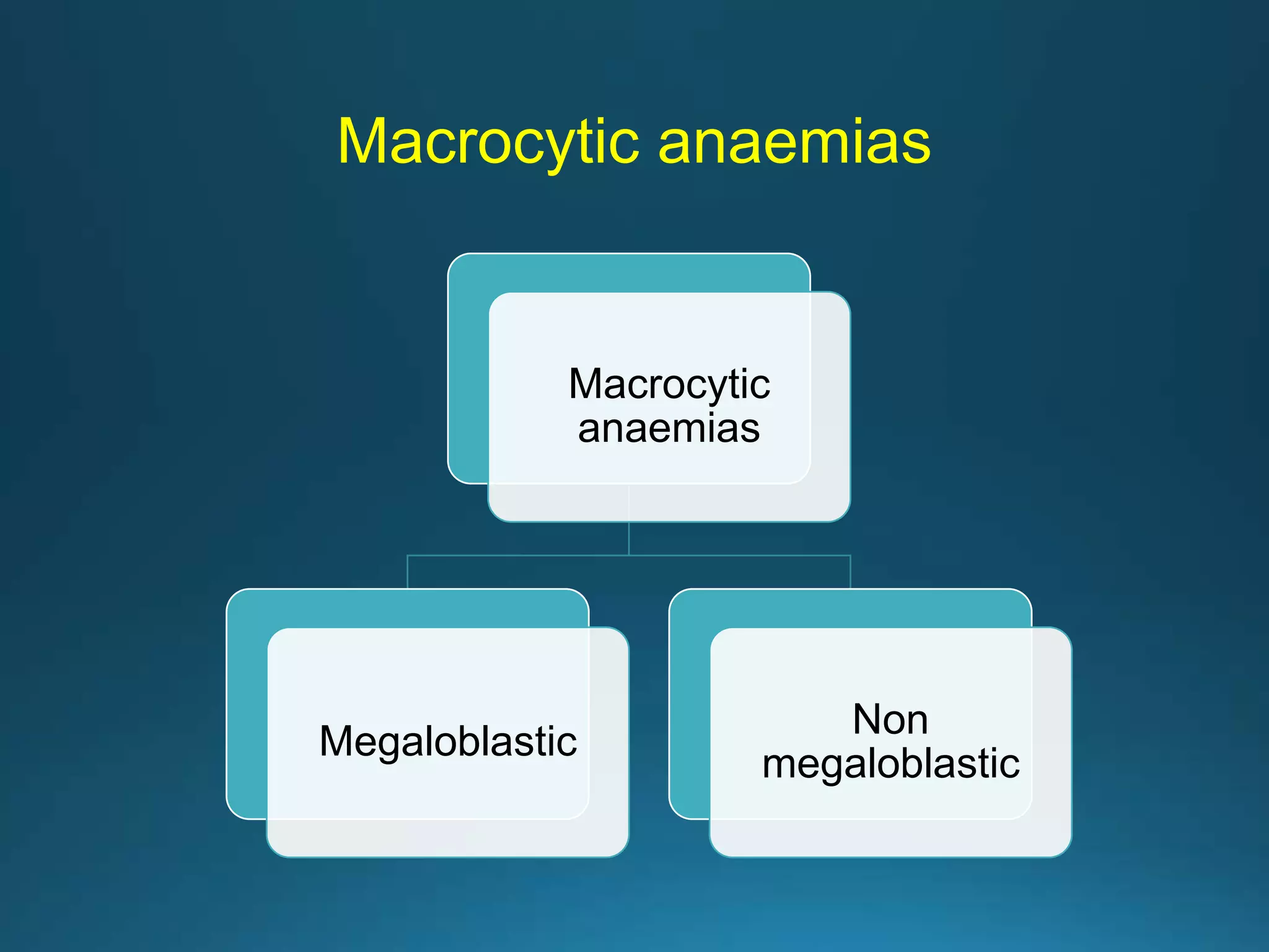 3. Anaemia - Macrocytic anaemias.pptx