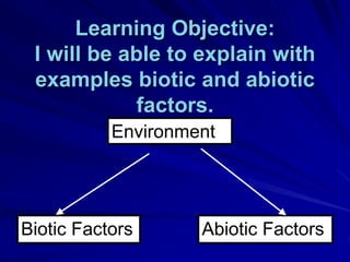3. Abiotic and Biotic PPT.ppt