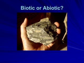 3. Abiotic and Biotic PPT.ppt