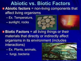 3. Abiotic and Biotic PPT.ppt
