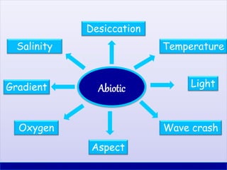 3. Abiotic and Biotic PPT.ppt