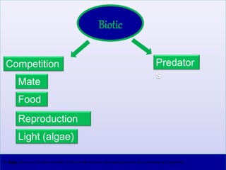 3. Abiotic and Biotic PPT.ppt