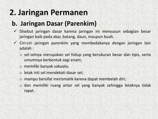 3.-Pertemuan-3-Struktur-dan-Fungsi-Jaringan-Tumbuhan.ppt