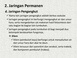 3.-Pertemuan-3-Struktur-dan-Fungsi-Jaringan-Tumbuhan.ppt