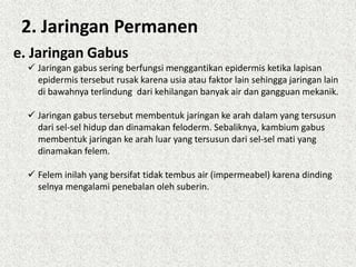 3.-Pertemuan-3-Struktur-dan-Fungsi-Jaringan-Tumbuhan.ppt