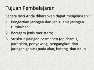 3.-Pertemuan-3-Struktur-dan-Fungsi-Jaringan-Tumbuhan.ppt
