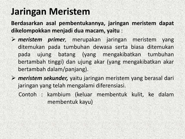 3.-Pertemuan-3-Struktur-dan-Fungsi-Jaringan-Tumbuhan.ppt