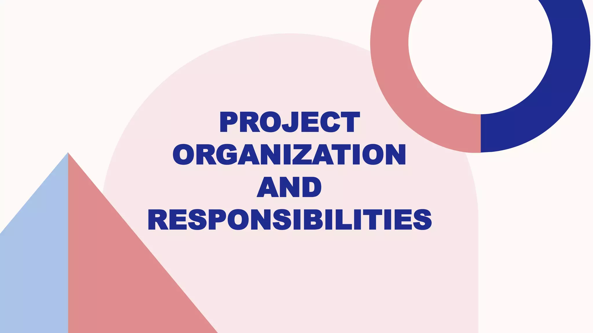 Project organization.pptx