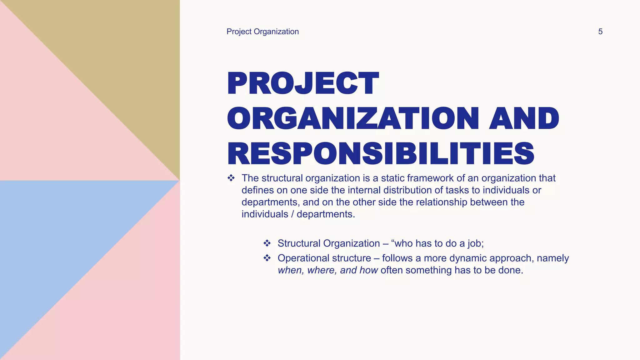 Project organization.pptx