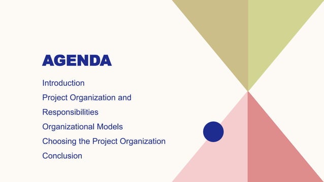 Project organization.pptx